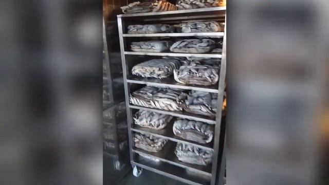 Камера дефростации