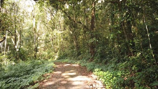 walking up doi pui alley