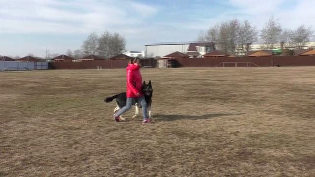 ПРК Маршал фон Гриззли Стайл