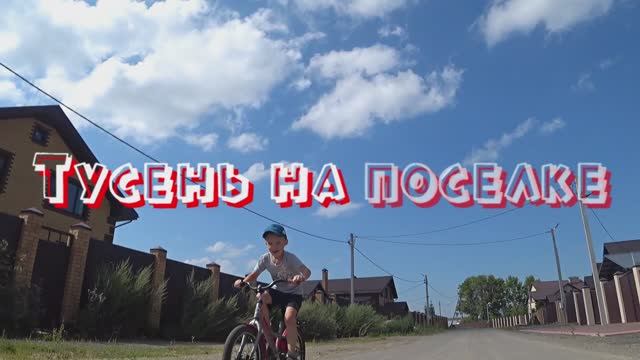 Тусень на поселке