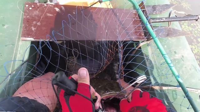 Змееголов реки Белая  (часть 2)