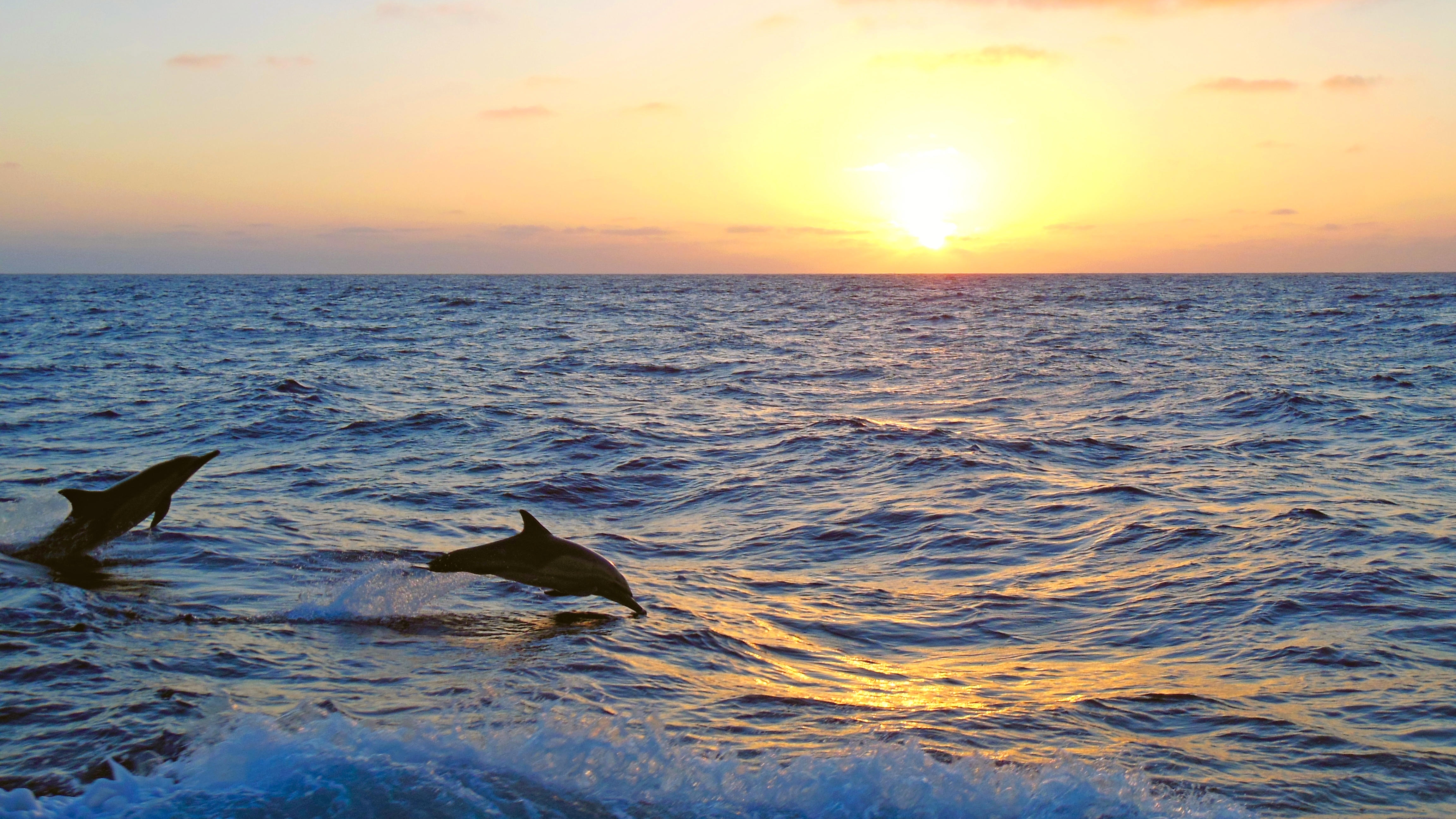 Fleurie, Tommee Profitt, Mellen Gi - In The End (Mellen Gi Remix)