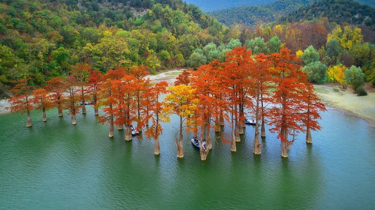 Сукко, кипарисовое озеро, река Сукко, лес в Сукко, Анапа