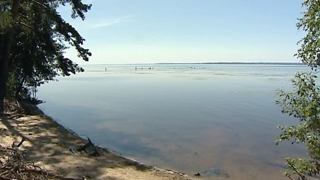 10 минут с Политехом. Эфир 16.10.18