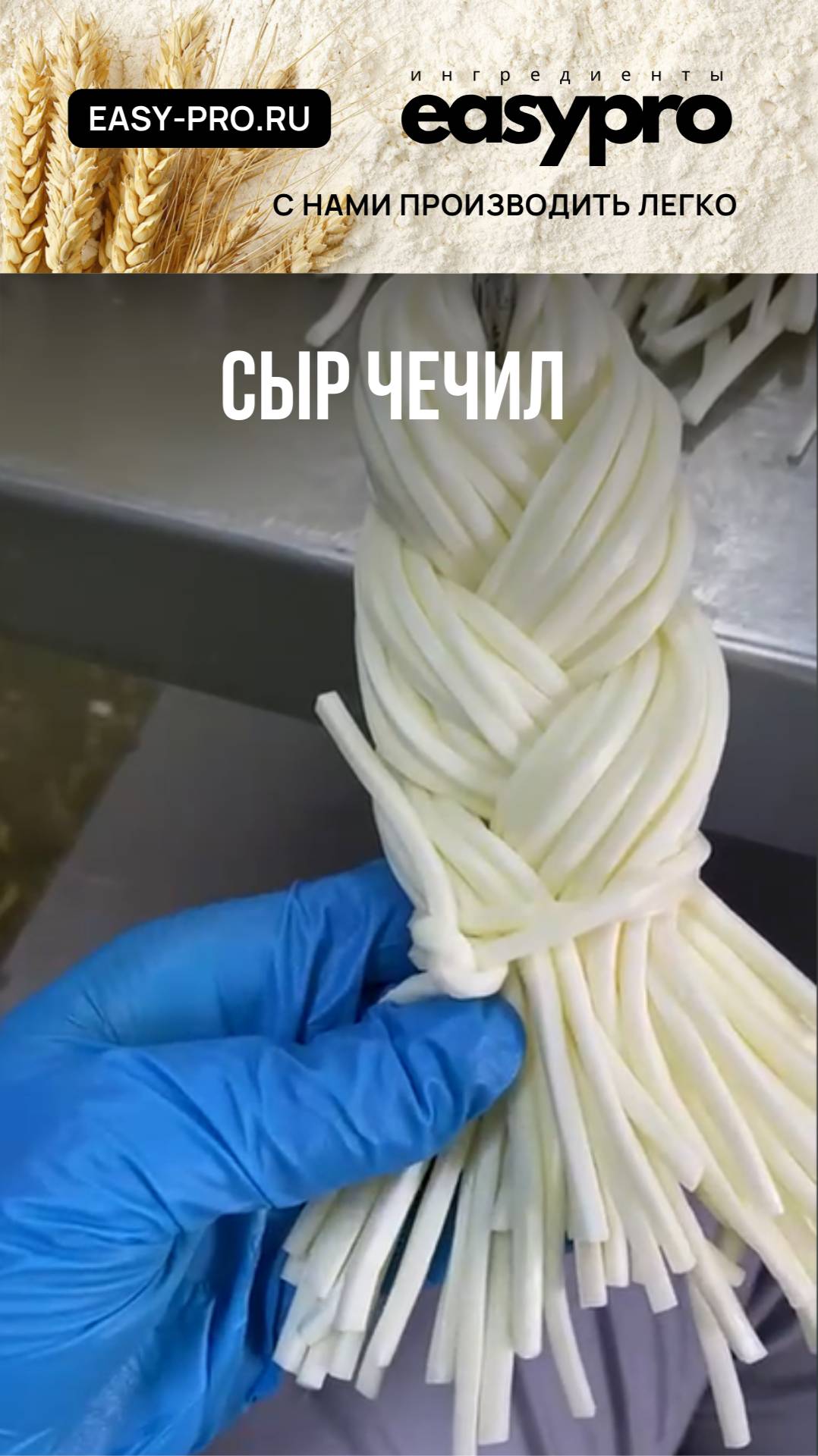 © EASYPRO - сыр чечил.