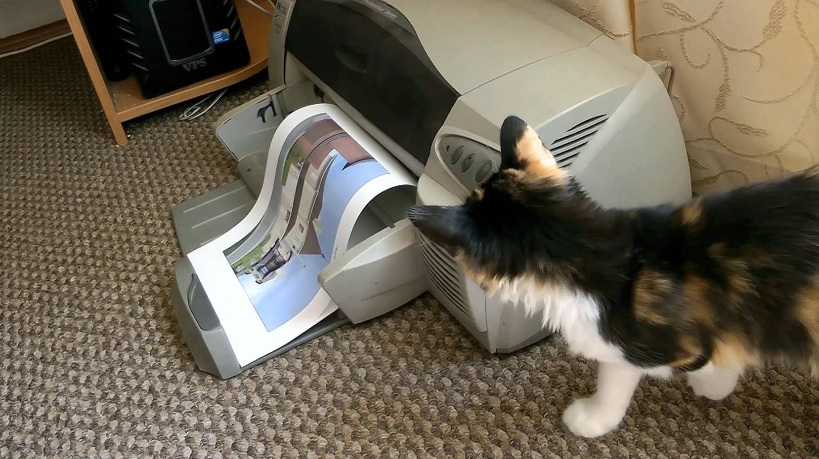 Муркины забавы. Принтер. Тренажер.