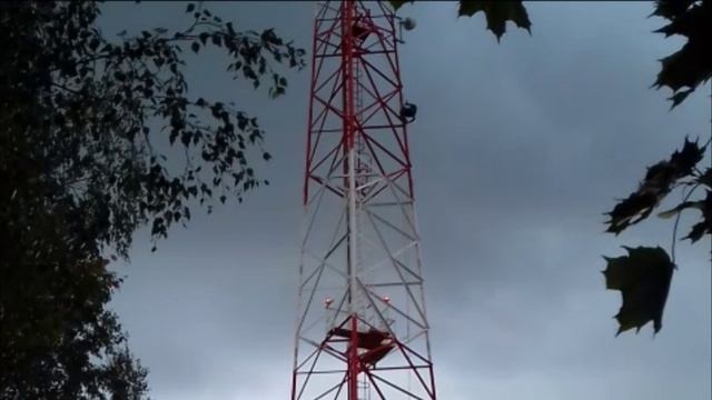 ТО АМС Закобякино Яр обл