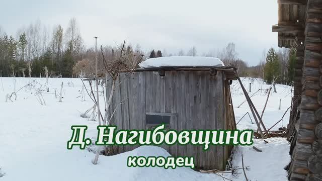 Деревня Нагибовщина, колодец.mp4