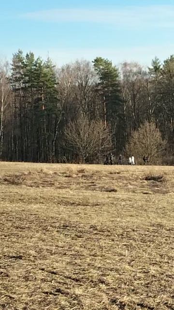 День УлыбКИ Солнца  - Батюшки!
А завтра ...
Подпишись, а то пропустишь самое интересное. ..