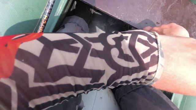 Змееголов vs Mystic Frog