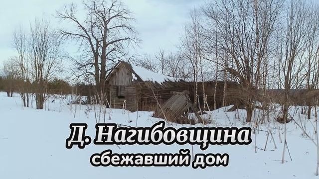 Деревня Нагибовщина, сбежавший дом.mp4