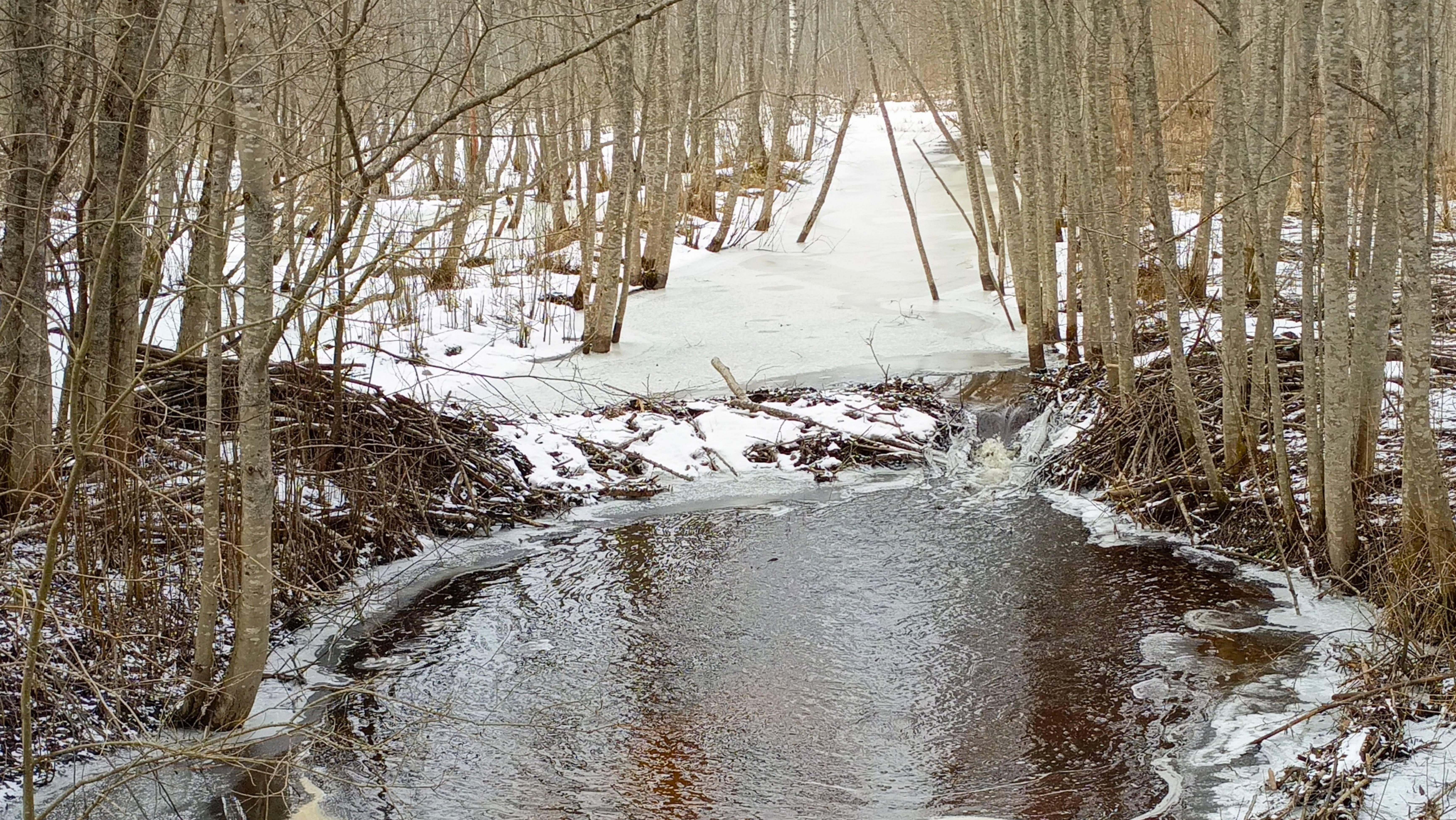 Стихи о наступающей весне.