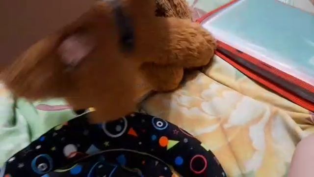 Игорь путешествие №5 фото из Парижа