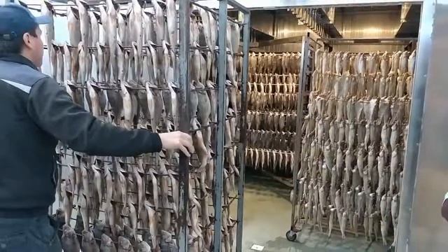 Вяление рыбы за 10 часов
