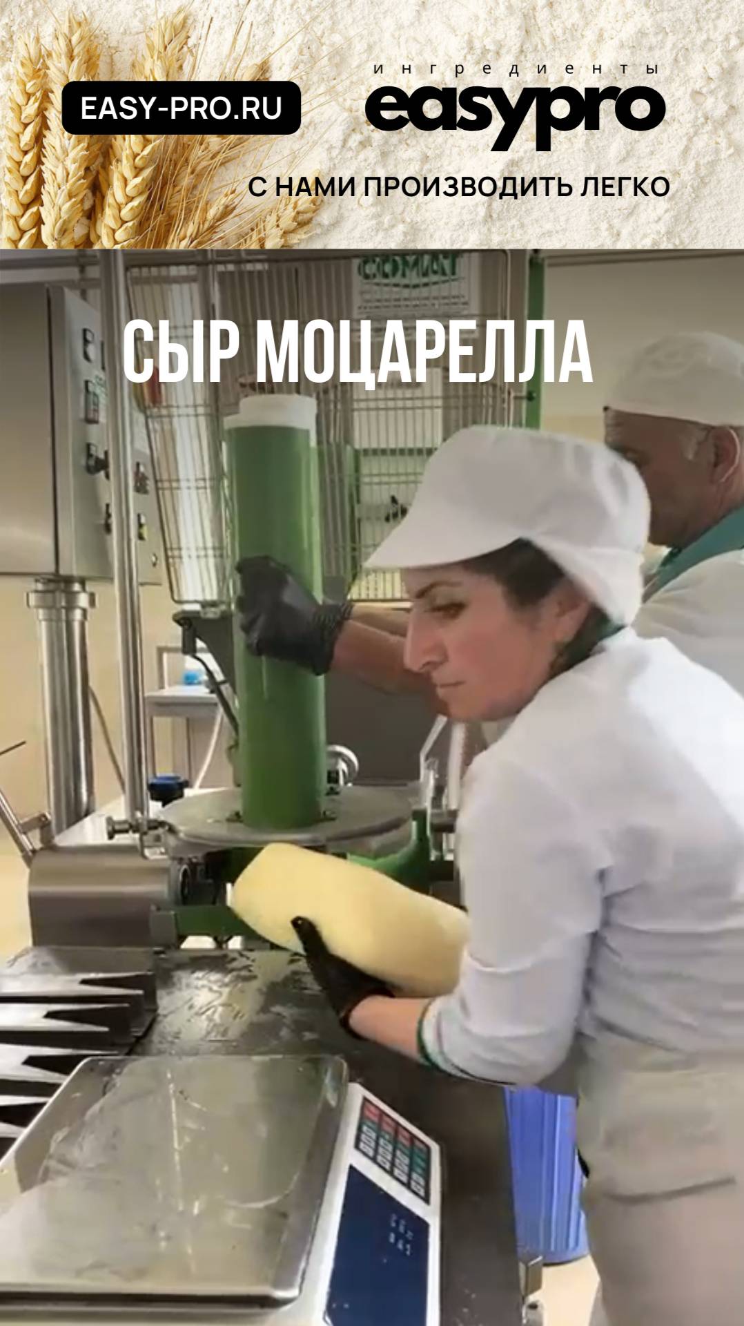 © EASYPRO - сыр моцарелла.