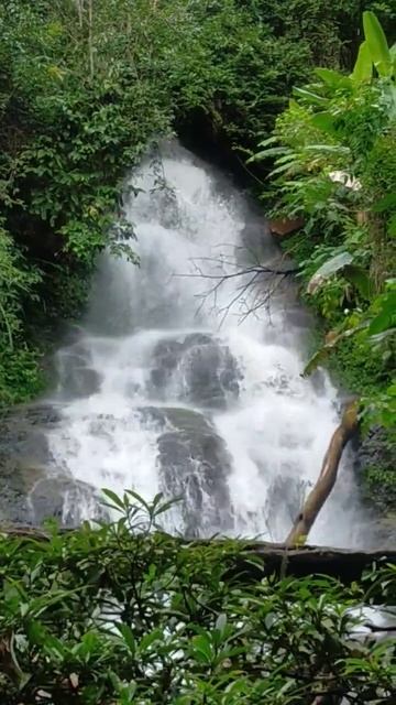 saiyoi waterfall น้ำตกไทรย้อย #coolbazz