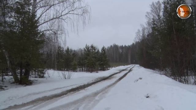 Выпуск Твой район от 21 марта 2025 года