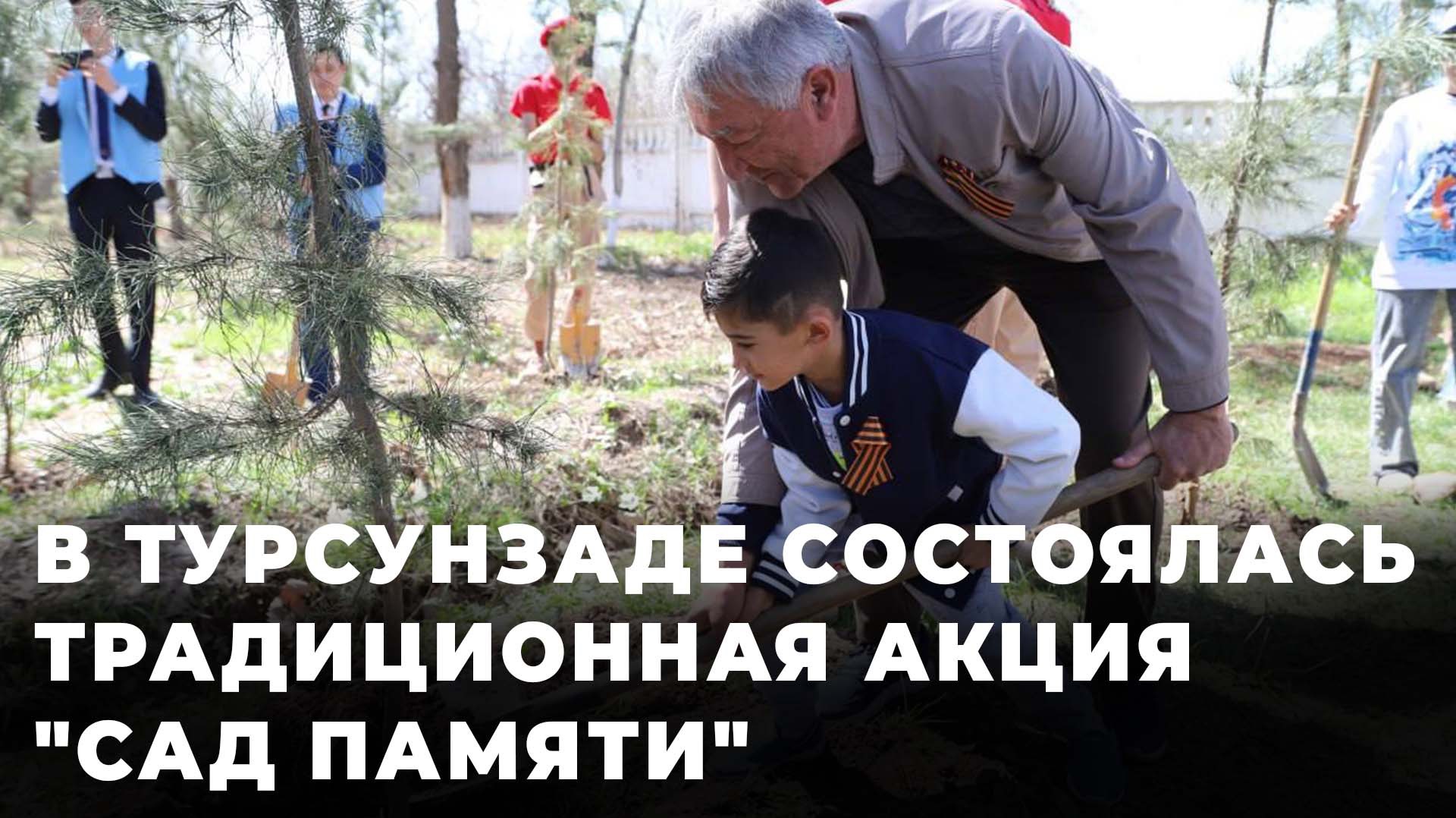 В Турсунзаде высадили 80 деревьев в память о погибших в Великой Отечественной войне