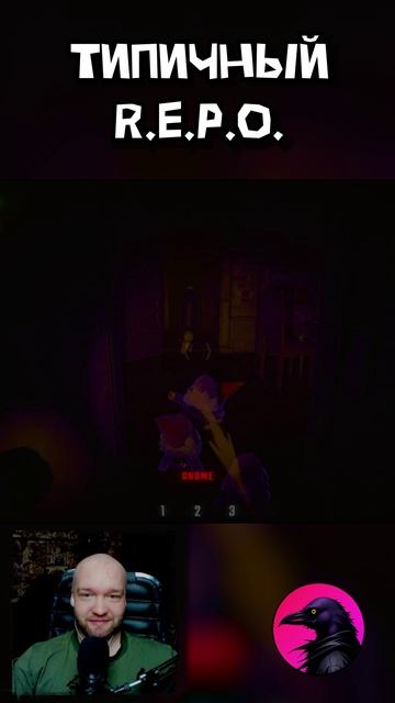 Рейд гномов R.E.P.O.