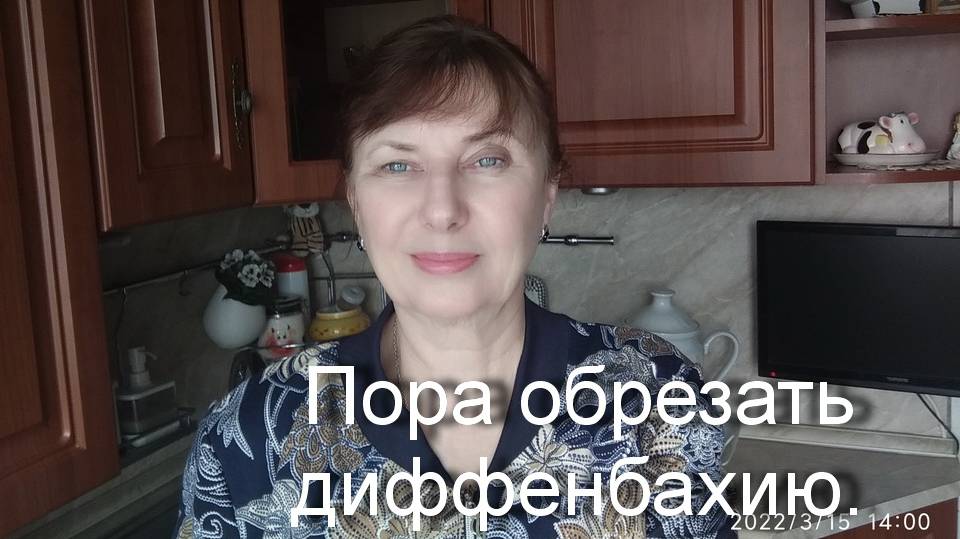 Пора обрезать диффенбахию.