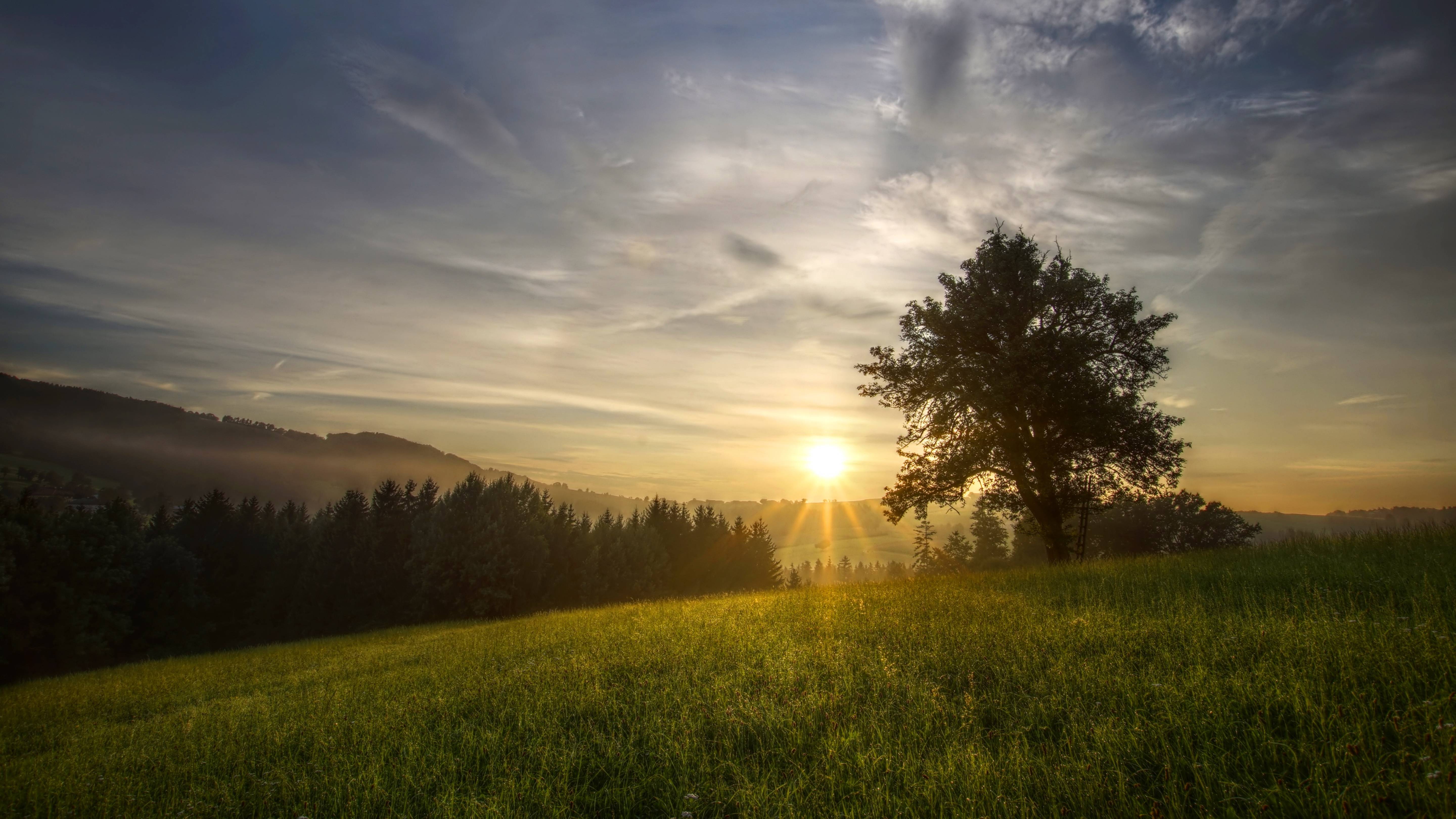 Аятуль Курси, суры аль Ихлас, аль Фаляк, ан Нас х7 избавление от проблем и болезней
