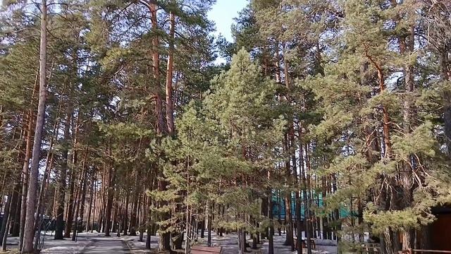 Борвиха Hotel & SPA.