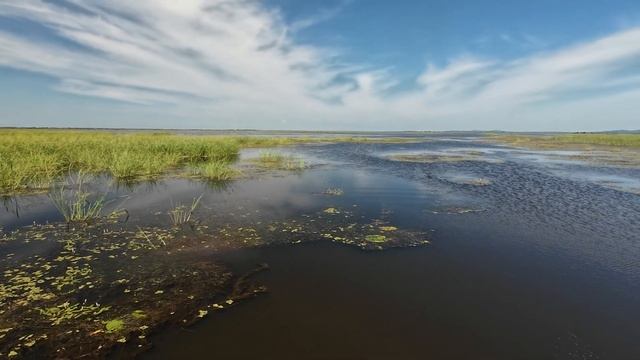 Древнейший способ добычи сазанов