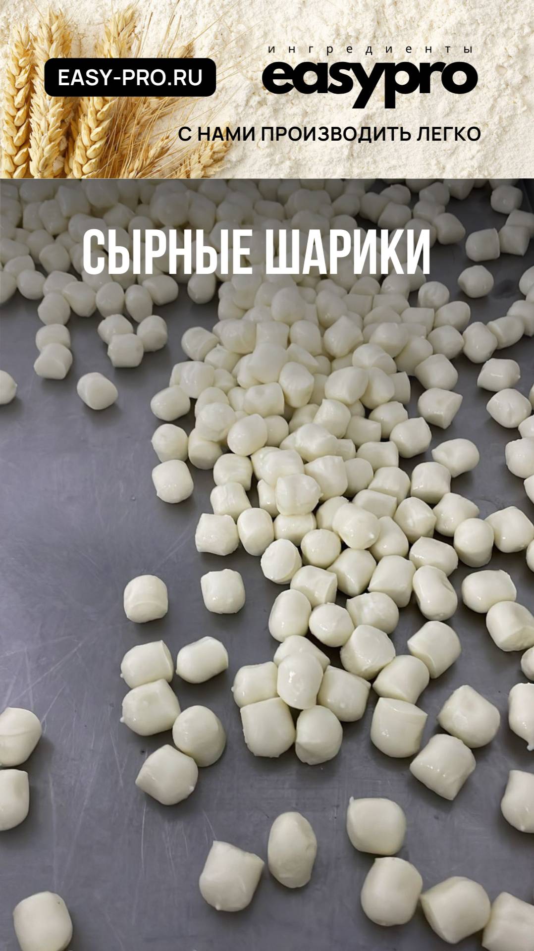 © EASYPRO - сырные шарики.