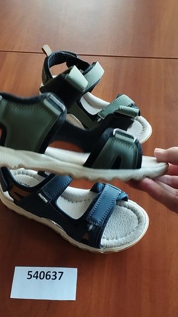 Модель: 540637 . Шаговита-ВЕСНА-ЛЕТО-2025-краткий обзор