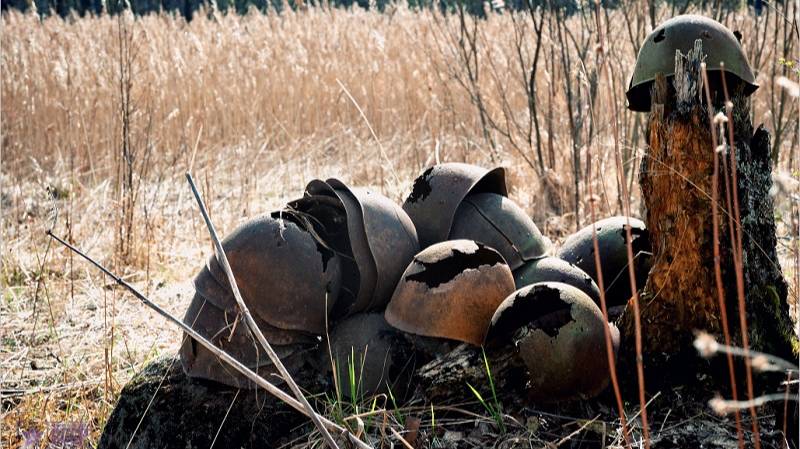 2-ая УДАРНАЯ АРМИЯ (к 80 летию Великой Победы)