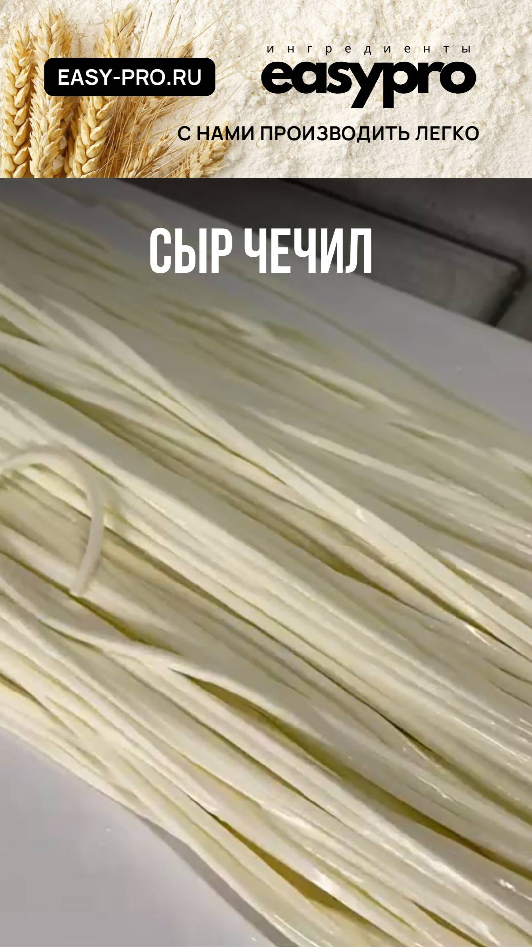 © EASYPRO - сыр чечил.