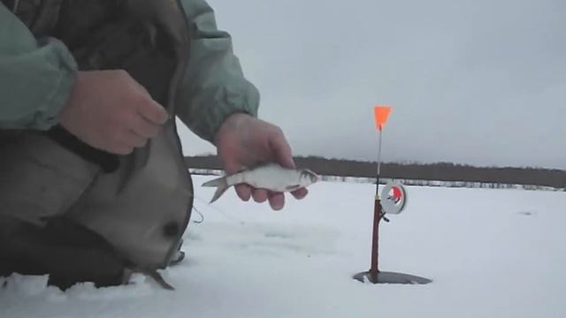 Зимняя  жерлица №1 Курск  Установка  Насадка живца