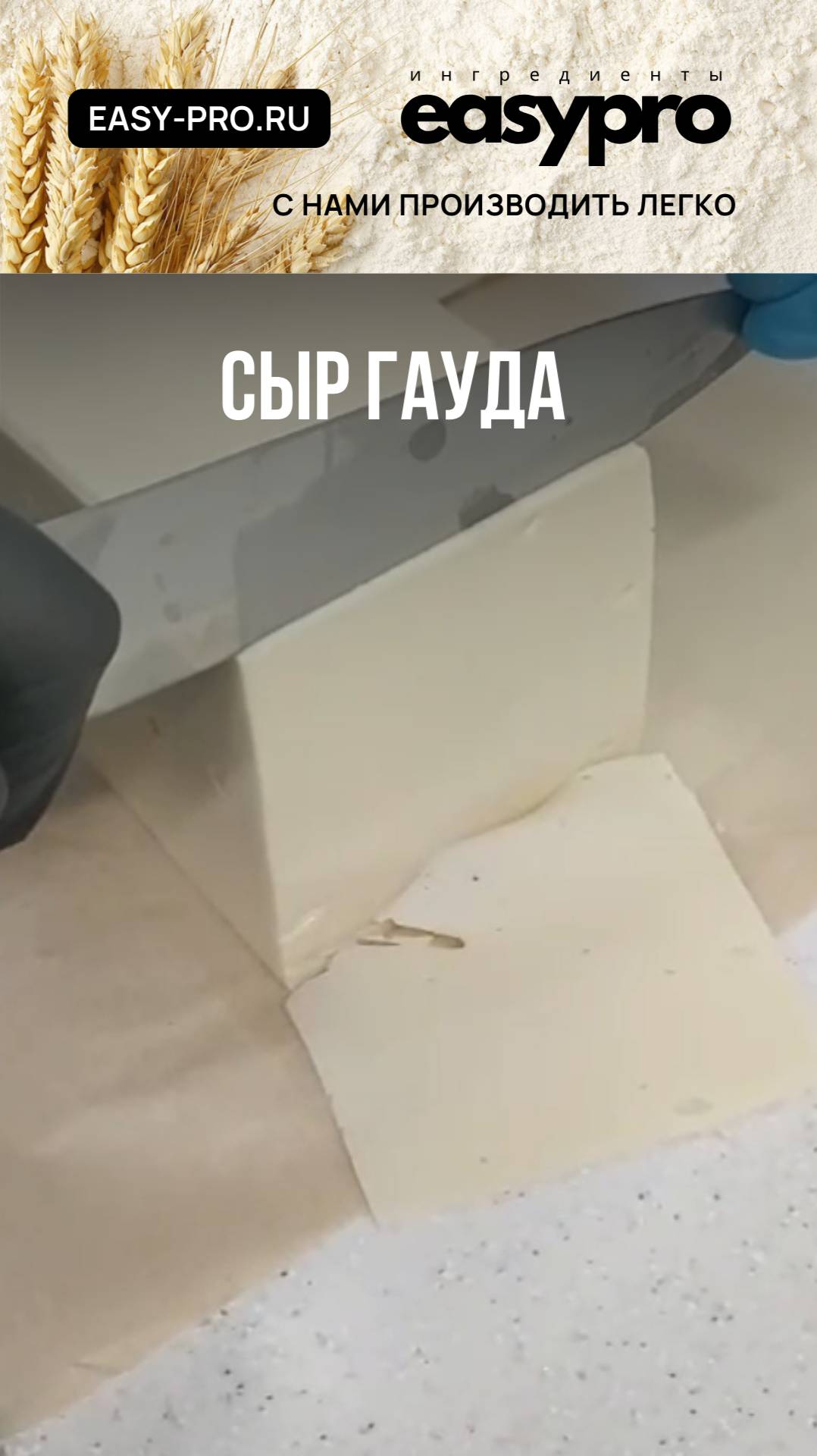 © EASYPRO - сыр гауда.