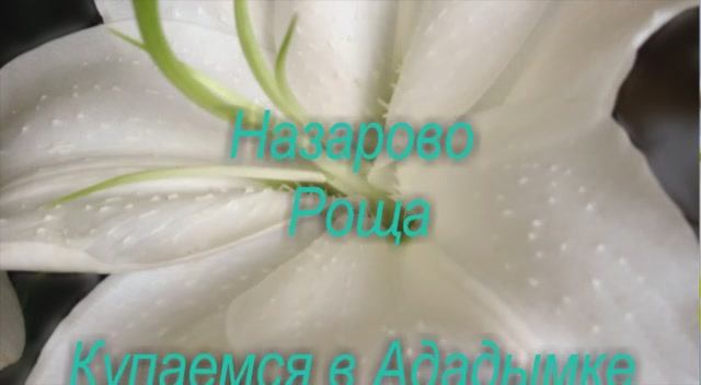 Назарово Роща 1980год