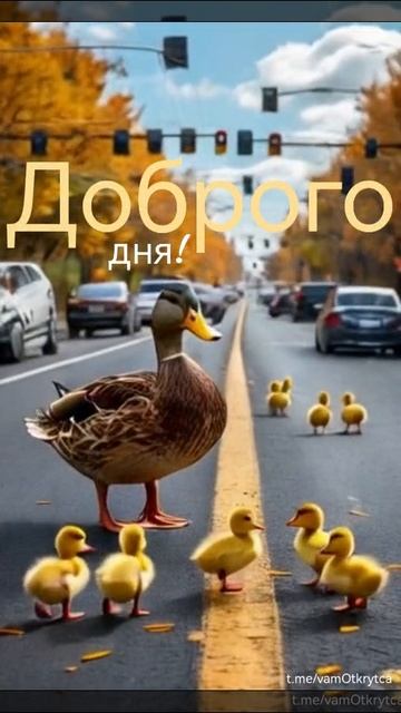 Доброго дня