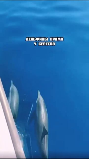 Крым