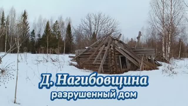 Деревня Нагибовщина, разрушенный дом.mp4