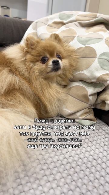 Всем грустным бусинкам - вкусняшек!