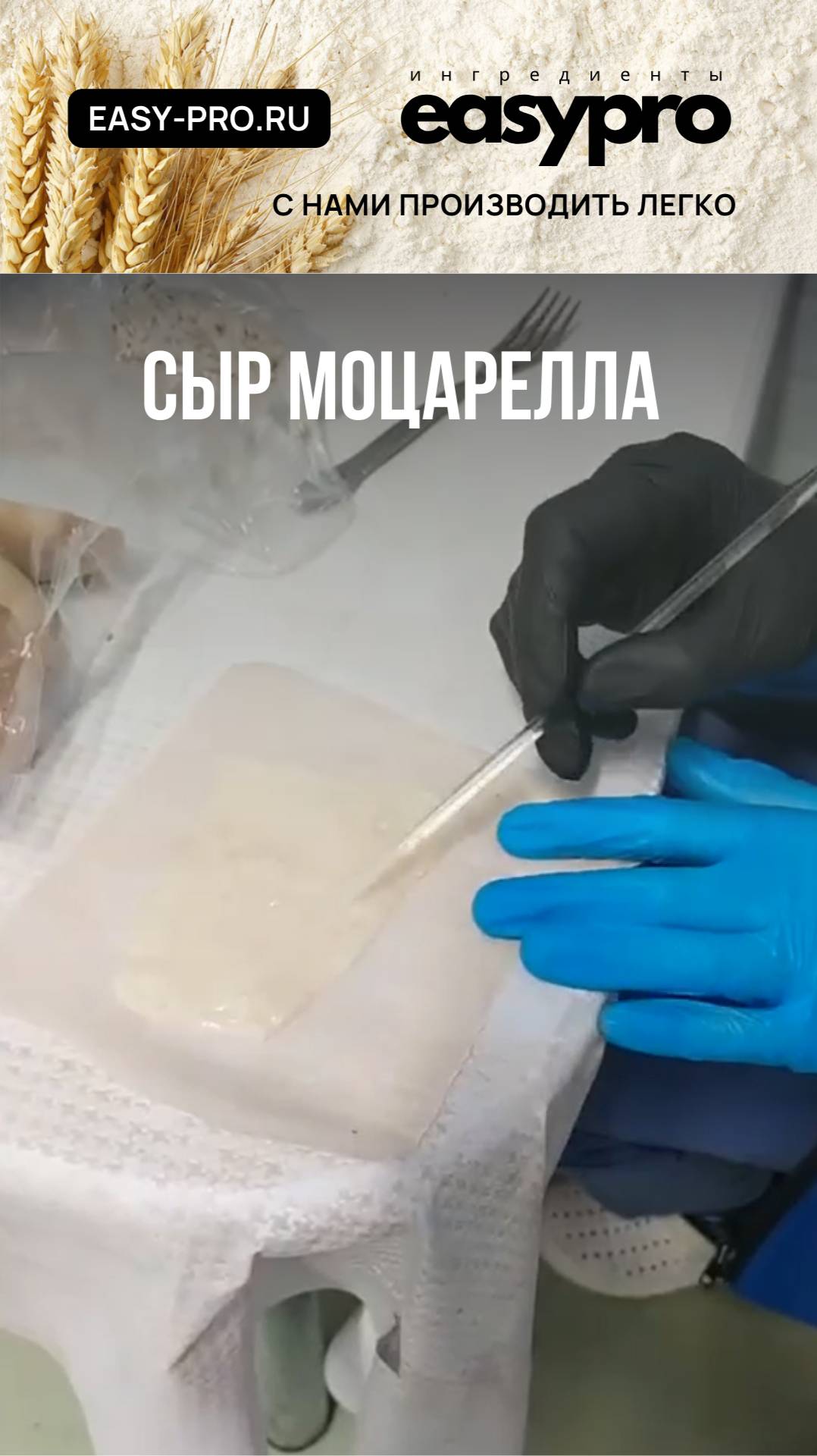 © EASYPRO - сыр моцарелла для пиццы.