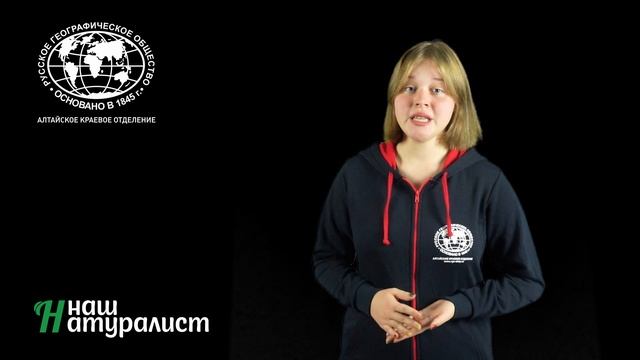 Сохраняем и исследуем.  Для чего проводятся фенологические наблюдения.