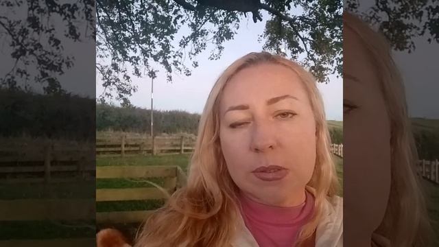 Алла из Новой Зеландии отзыв Павлу Жданову