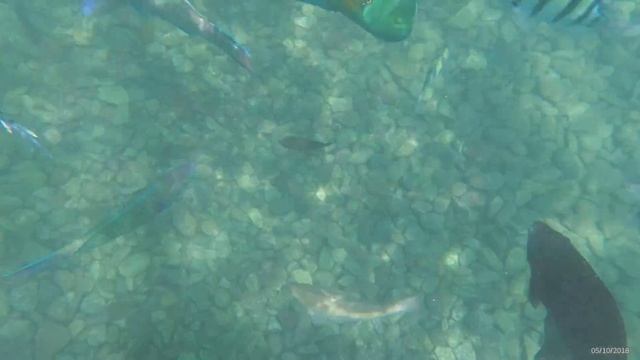 Отдых в Эйлате (אילת), ИЗРАИЛЬ октябрь 2018 года (2 часть)