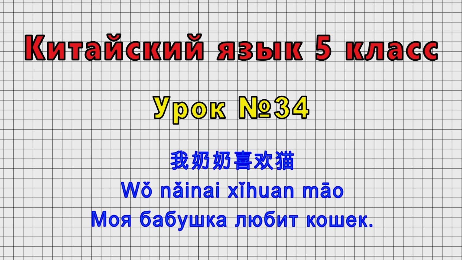 Китайский язык 5 класс (Урок№34 - 我奶奶喜欢猫 Wǒ nǎinai xǐhuan māo Моя бабушка любит кошек.)