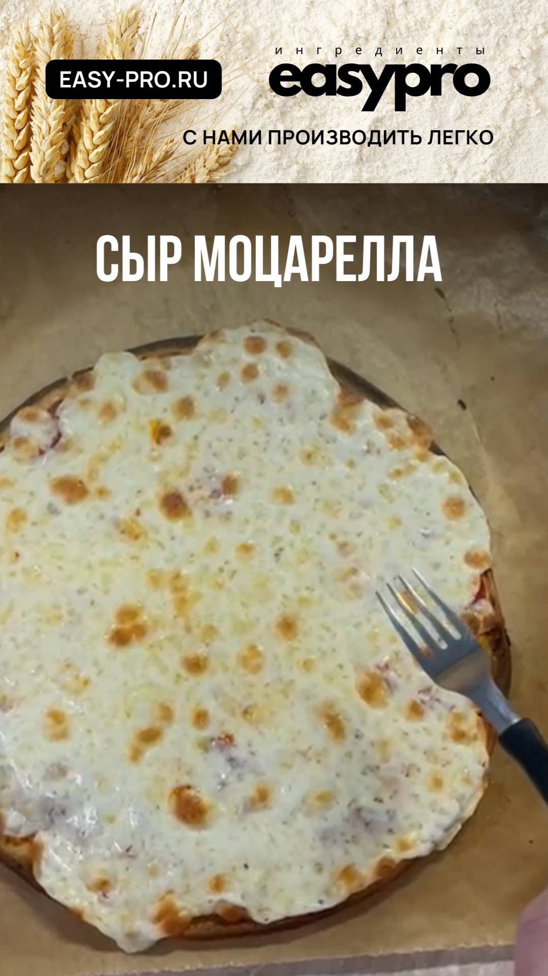 © EASYPRO - сыр моцарелла для пиццы.