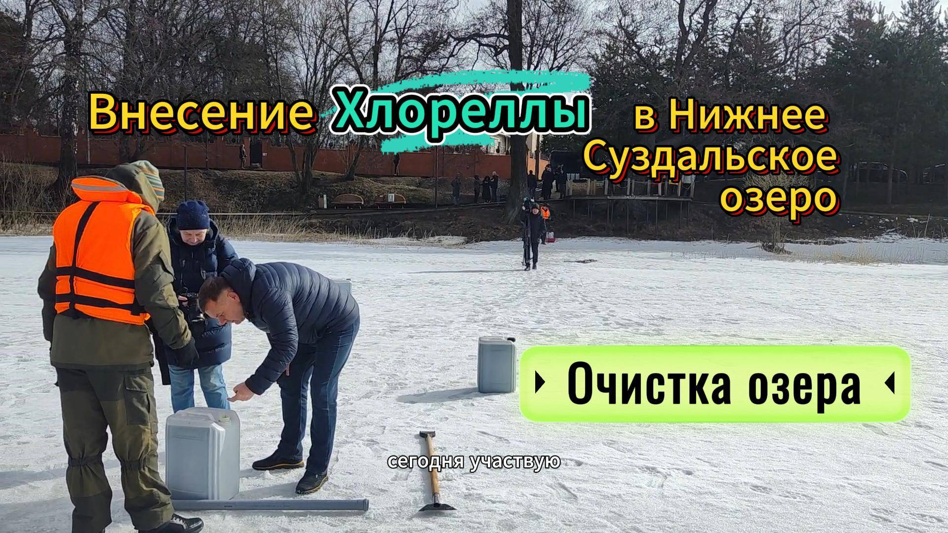 Биоочистка Нижнего Большого Суздальского озера: как хлорелла спасает водоём. Редкие подводные кадры