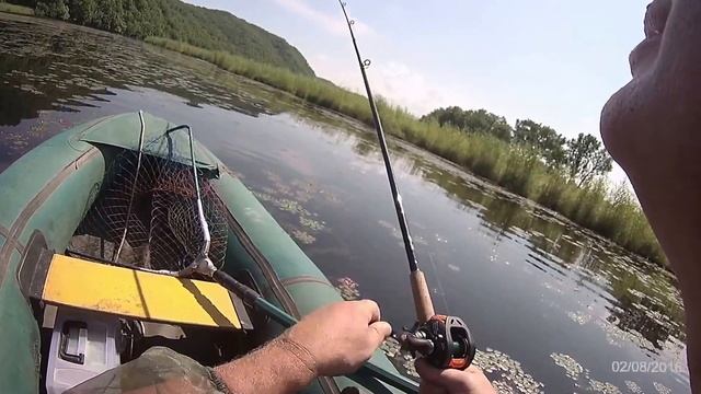 Змееголов Приморья 2016 (неудачи)