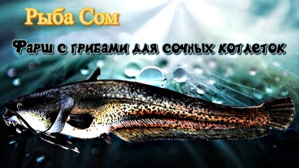 Фарш из рыбы Сом для сочных и очень вкусных котлеток. Рекомендую.