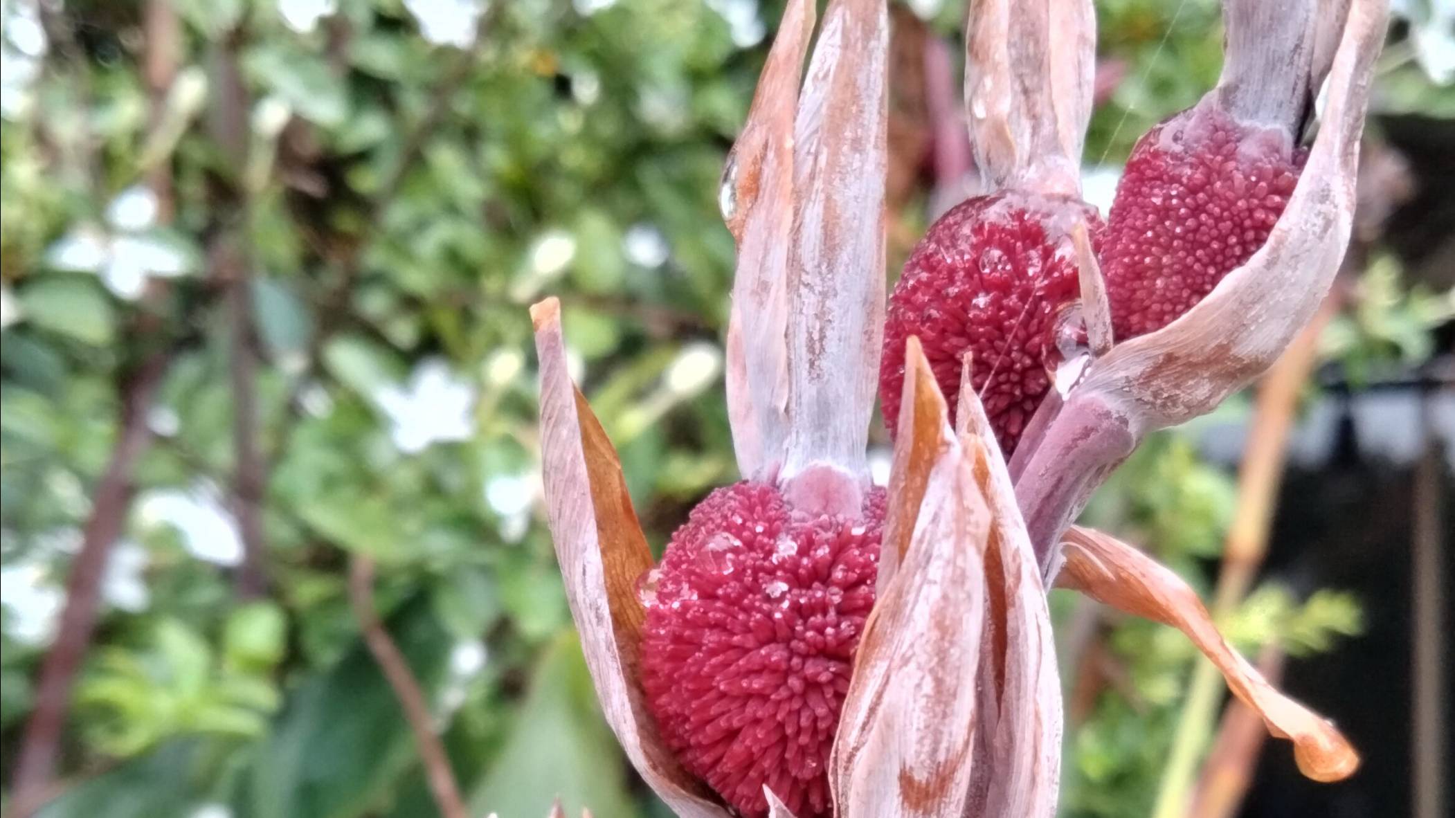 просто утро, природа, деревни ч.1 дождливо канчанабури กาญจนบุรี kanchanaburi