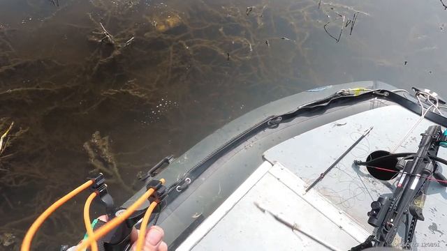 Охота на сазана CrossBow Fishing