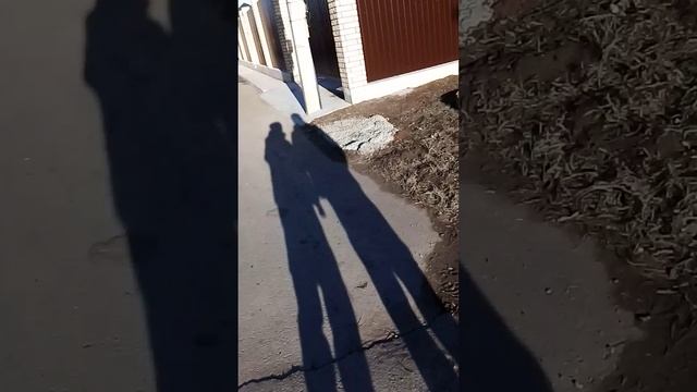 строим шалаш😺😺😺